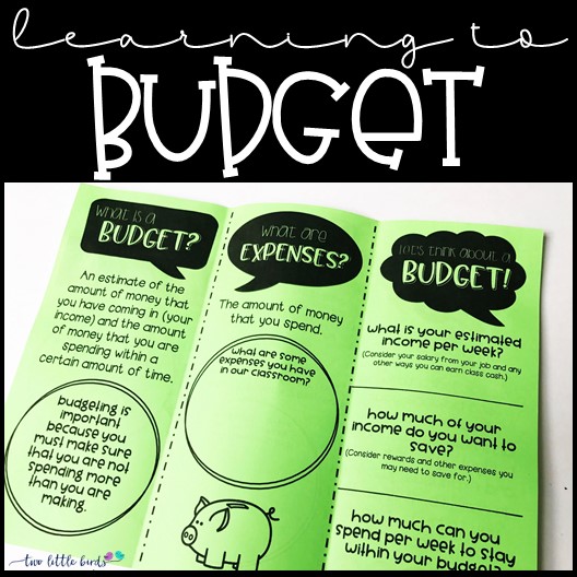 Getting Started with a Class Economy - Two Little Birds Teaching