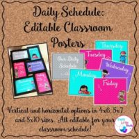 *EDITABLE* Daily Schedule Posters - Two Little Birds Teaching