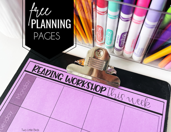 How to Make a Reading Workshop Schedule with Limited Time - Two Little ...