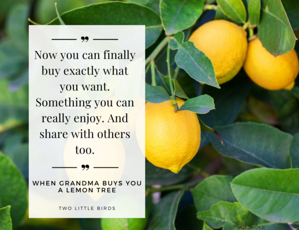 When Grandma Gives You a Lemon Tree: Activities to Promote Graciousness ...