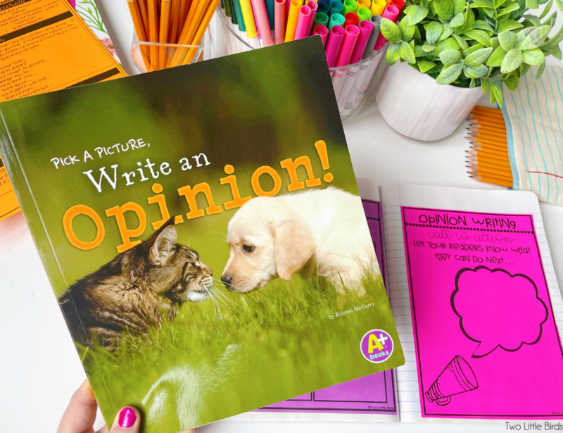 Favorite Mentor Text for Teaching Opinion Writing - Two Little Birds ...